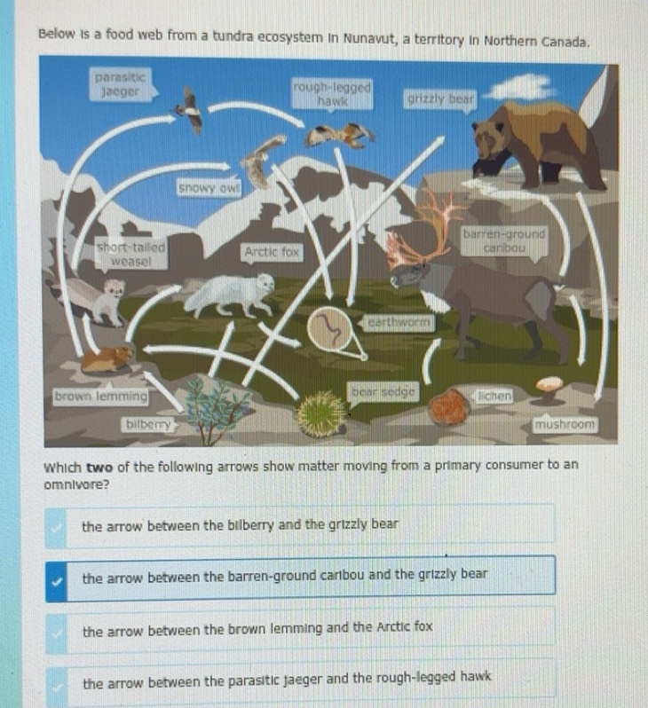 Solved: Below is a food web from a tundra ecosystem in Nunavut, a ...
