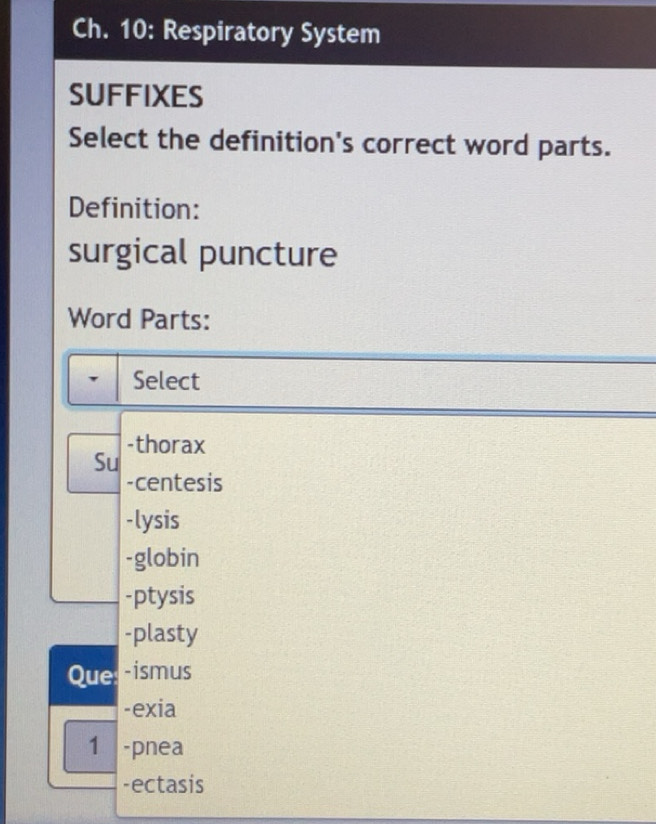 Solved: Ch. 10: Respiratory System SUFFIXES Select the definition's ...