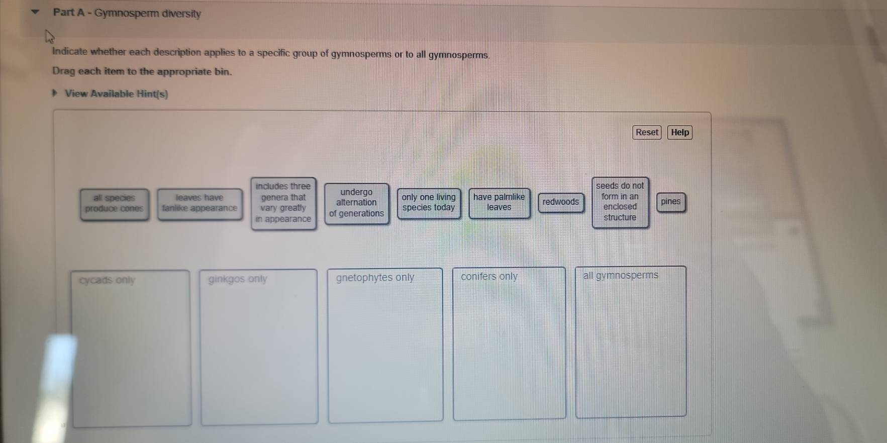 Solved: Gymnosperm diversity Indicate whether each description applies to a specific group of ...