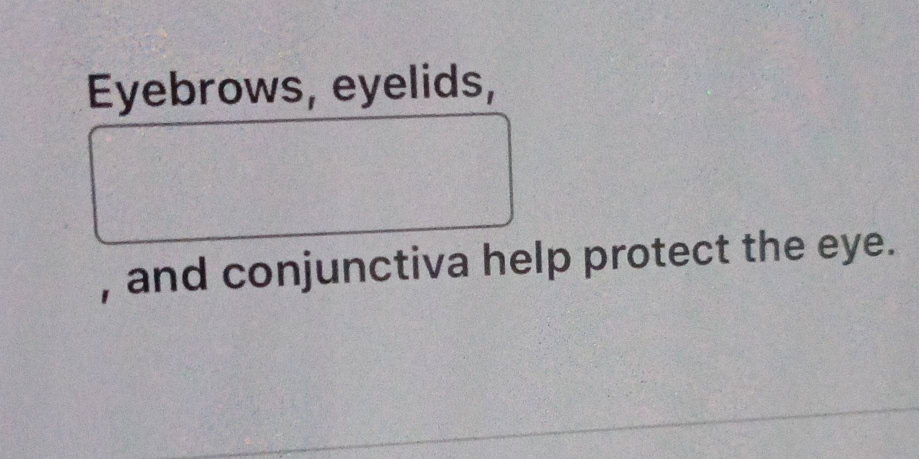 Solved: Eyebrows, eyelids, , and conjunctiva help protect the eye ...