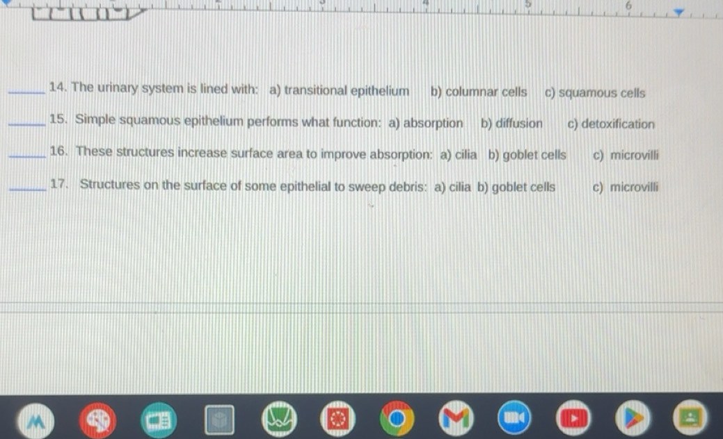 Solved: 6 _14. The urinary system is lined with: a) transitional ...