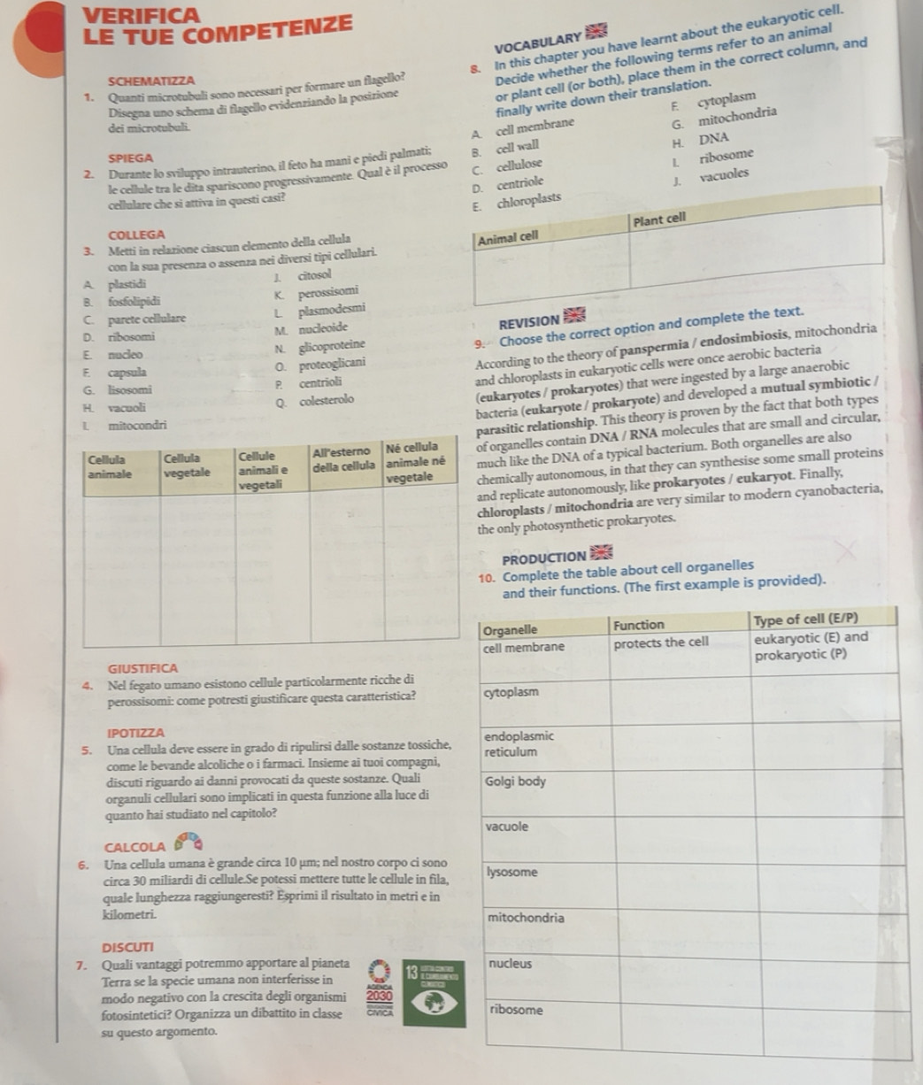 Risolto:VERIFICA LE TUE COMPETENZE 8. In this chapter you have learnt ...