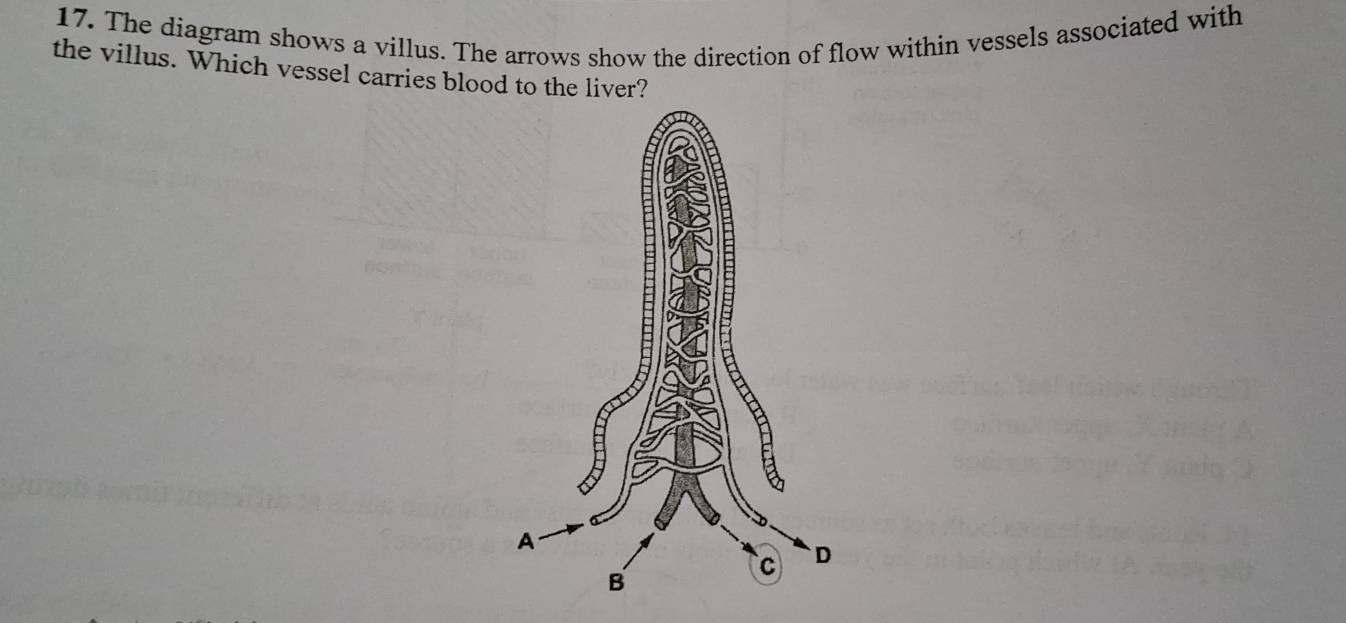 Solved: The diagram shows a villus. The arrows show the direction of ...