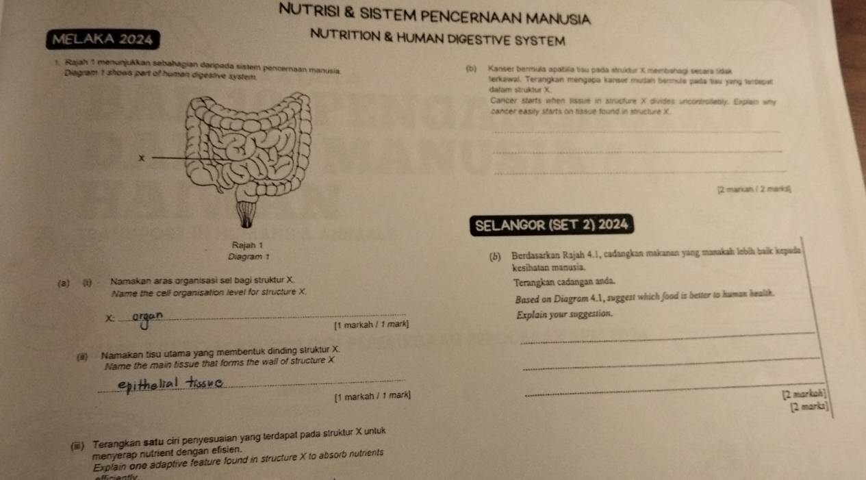 Selesai:NUTRISI & SISTEM PENCERNAAN MANUSIA MELAKA 2024 NUTRITION ...