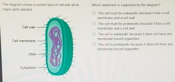 Solved: major parts labeled The diagram shows a certain kind of cell ...