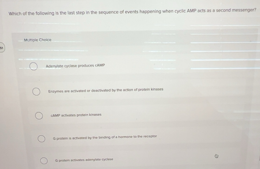 Solved: Which of the following is the last step in the sequence of ...