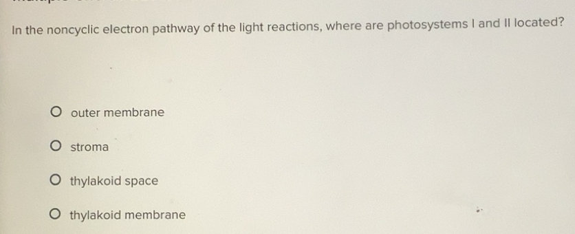 Solved: In the noncyclic electron pathway of the light reactions, where ...