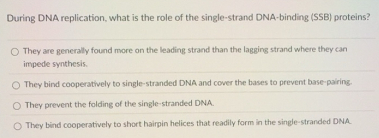 Solved: During DNA replication, what is the role of the single-strand ...
