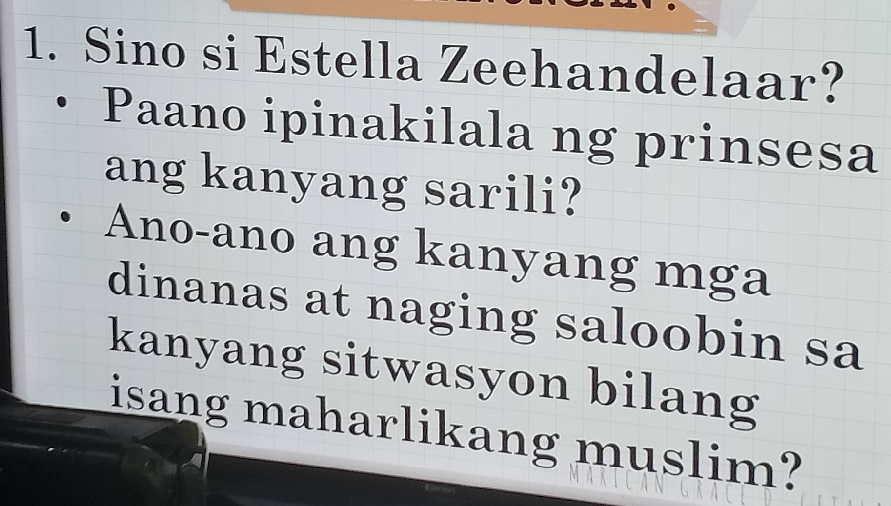 Solved: Sino si Estella Zeehandelaar? Paano ipinakilala ng prinsesa ang ...