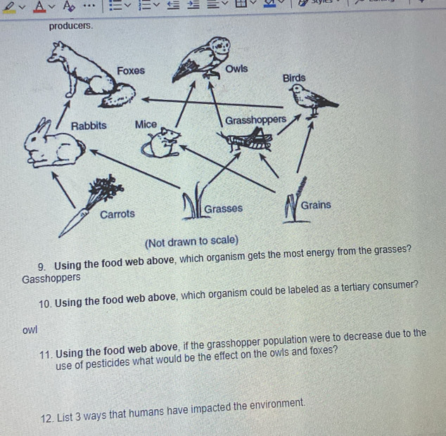 Solved: .. producers. Foxes Owls Birds Rabbits Mice Grasshoppers ...