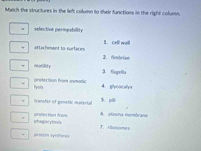 Solved: Match the structures in the left column to their functions in the right column ...