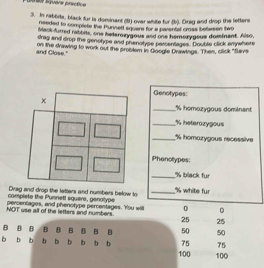 Solved: punnett square practice 3. In rabbits, black fur is dominant (B ...