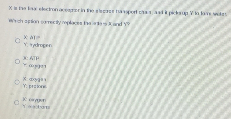 Solved: X is the final electron acceptor in the electron transport ...
