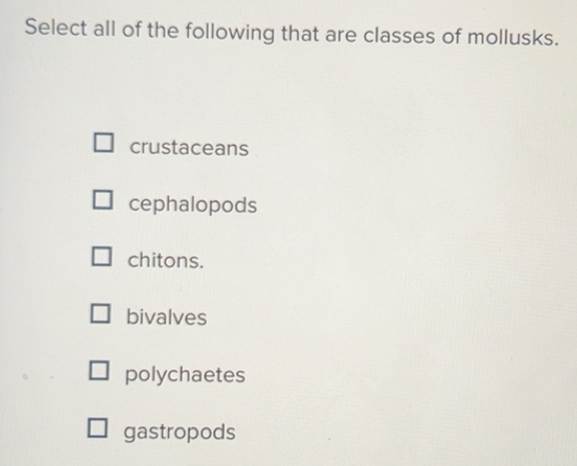 Solved: Select all of the following that are classes of mollusks ...