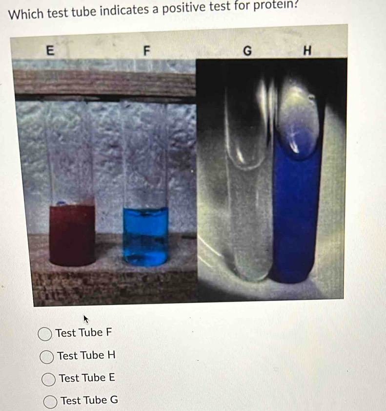 Solved: Which test tube indicates a positive test for protein: Test ...