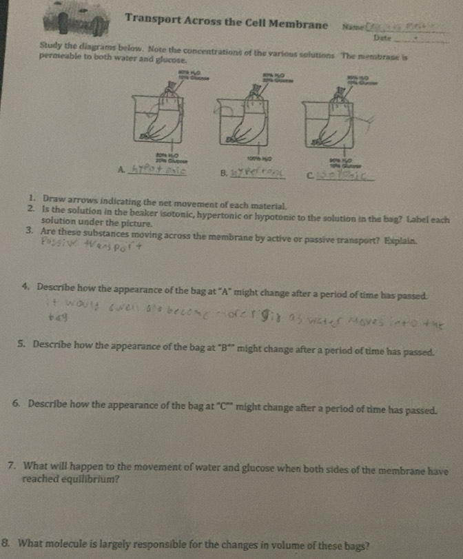 Solved: Transport Across the Cell Membrane _ Date_ Study the diagrams ...