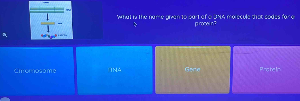 Solved: GENE DNA What is the name given to part of a DNA molecule that ...