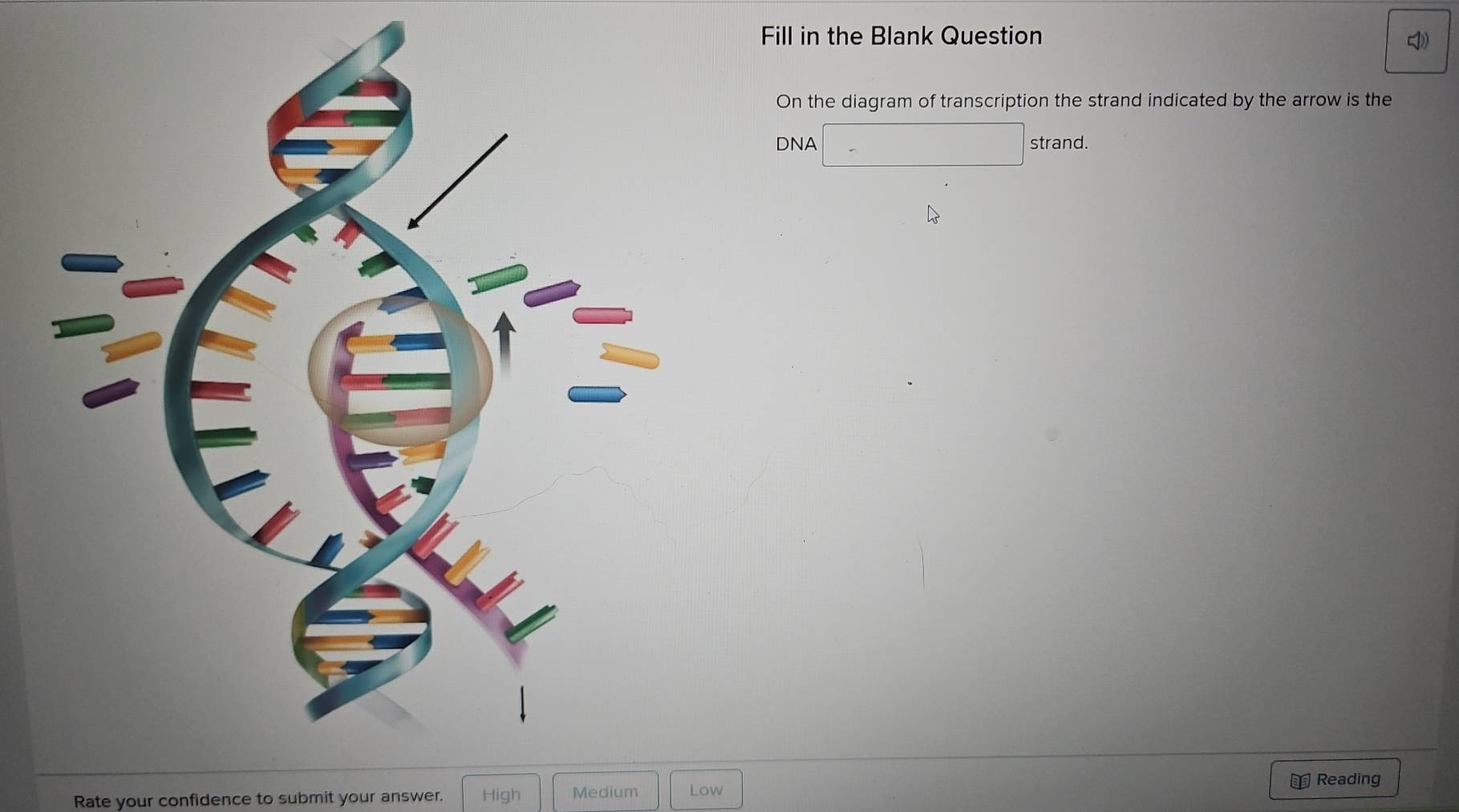 Solved: Fill in the Blank Question On the diagram of transcription the ...