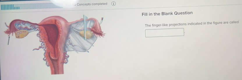Solved: Concepts completed Fill in the Blank Question The finger-like ...