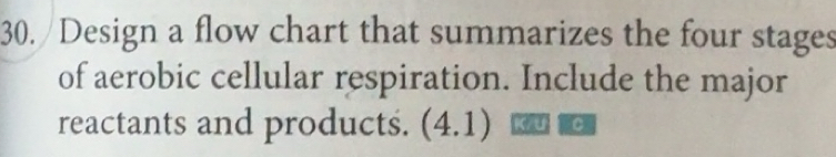Solved: Design a flow chart that summarizes the four stages of aerobic ...