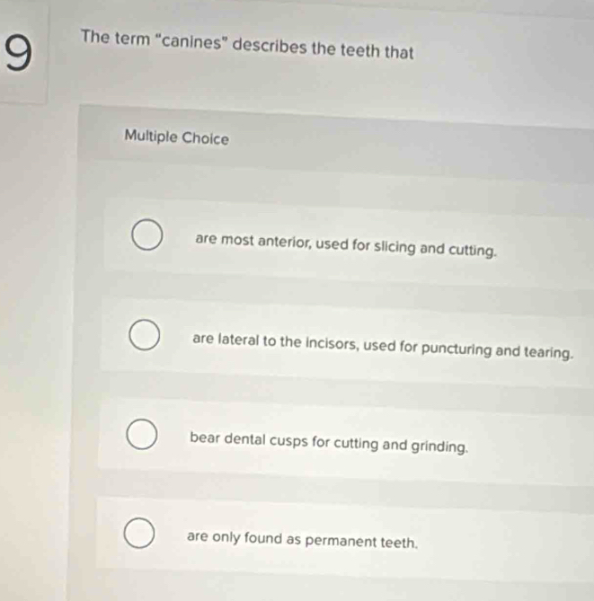 Solved: The term “canines” describes the teeth that Multiple Choice are ...