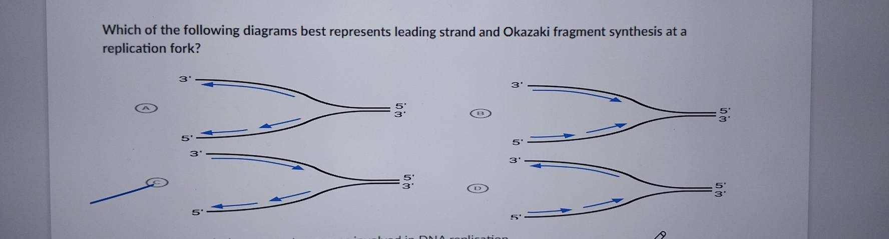 Solved: Which of the following diagrams best represents leading strand ...