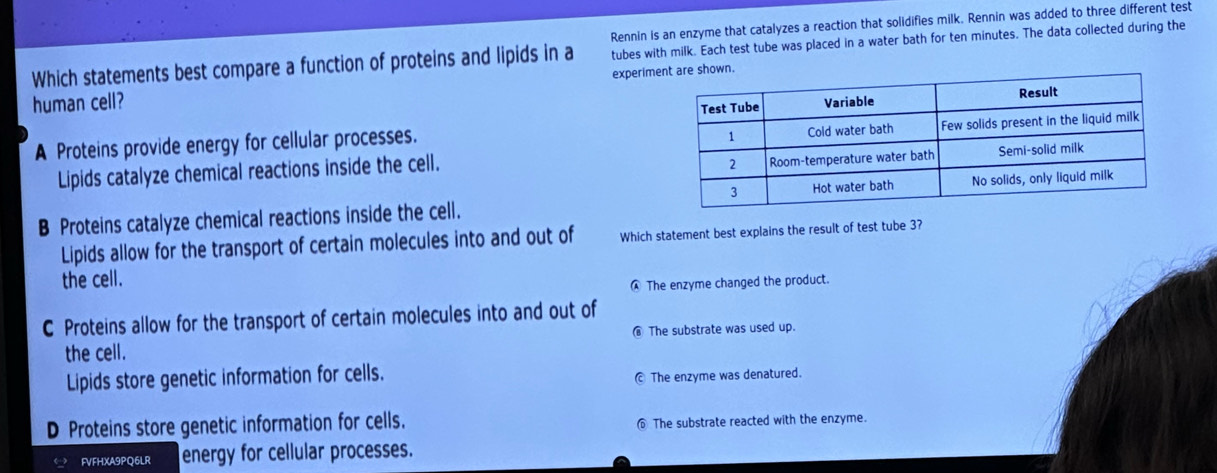 Solved: Rennin is an enzyme that catalyzes a reaction that solidifies ...