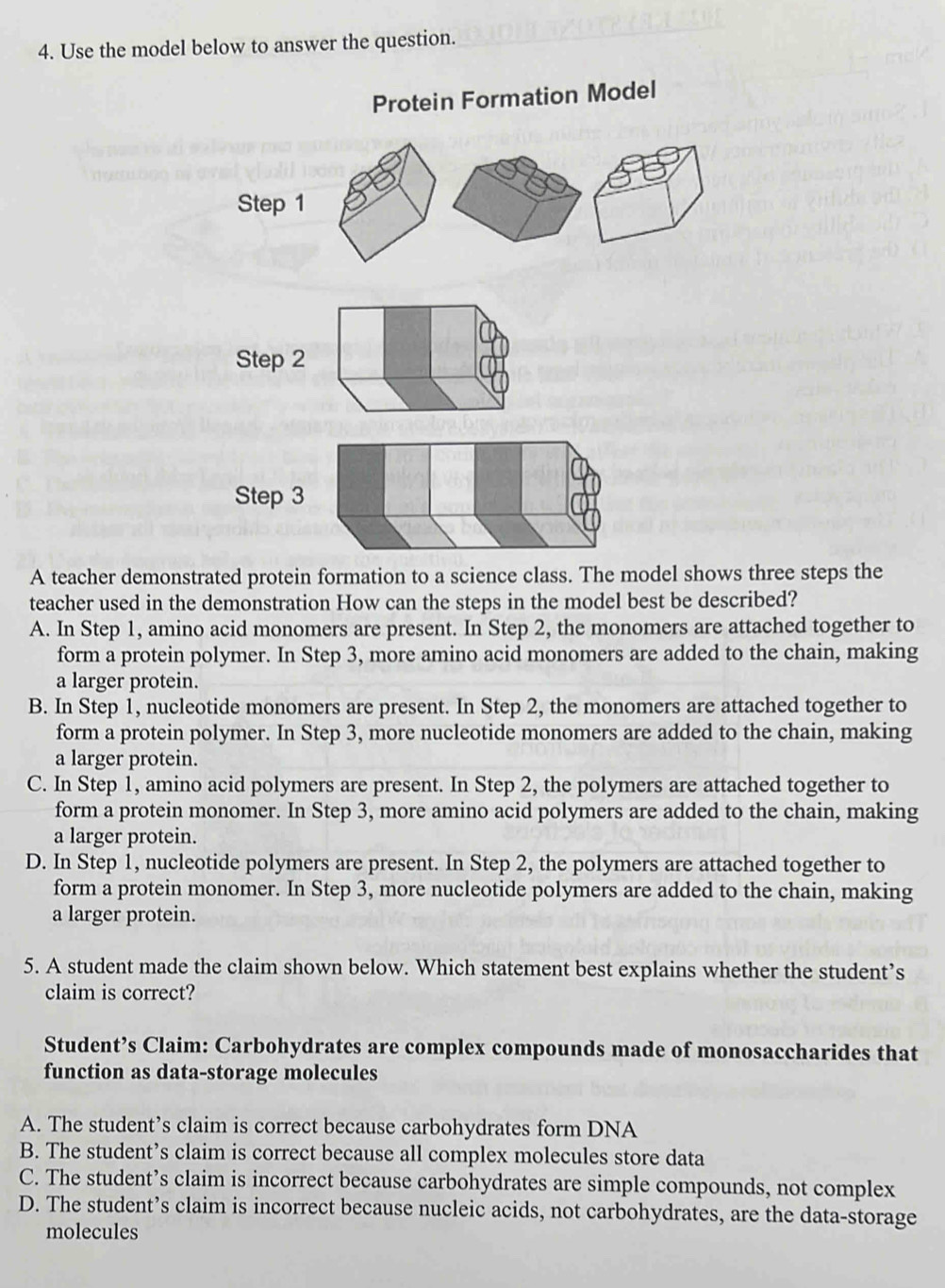 Solved: Use the model below to answer the question. Protein Formation ...