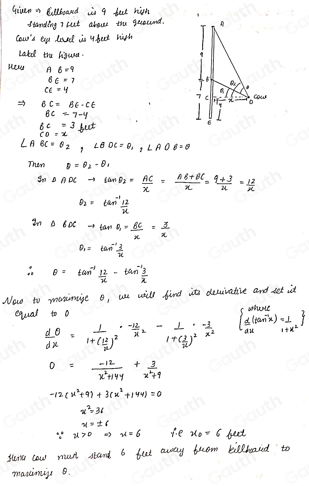 Solved: The Nearsighted Cow Problem: A Calculus Classic. A rectangular ...