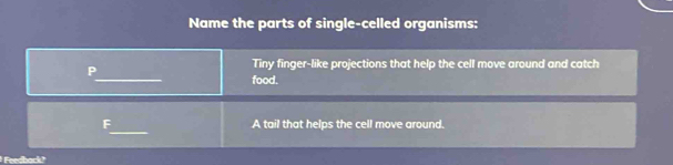 Solved: Name the parts of single-celled organisms: _ P Tiny finger-like ...