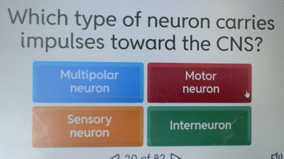 Solved: Which type of neuron carries impulses toward the CNS ...