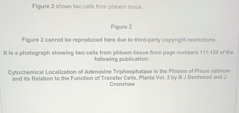 Solved: Figure 2 shows two cells from phloem tissue. Figure 2 Figure 2 ...