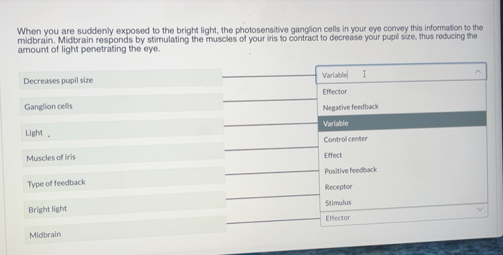 Solved: When you are suddenly exposed to the bright light, the ...