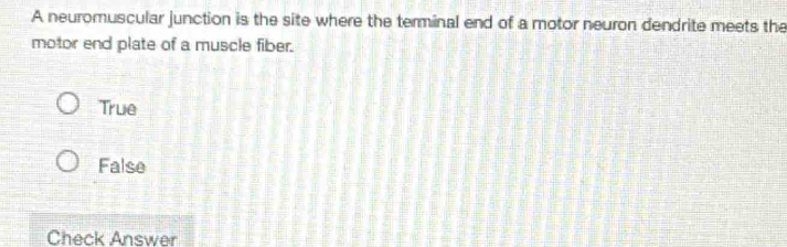 Solved: A neuromuscular junction is the site where the terminal end of ...