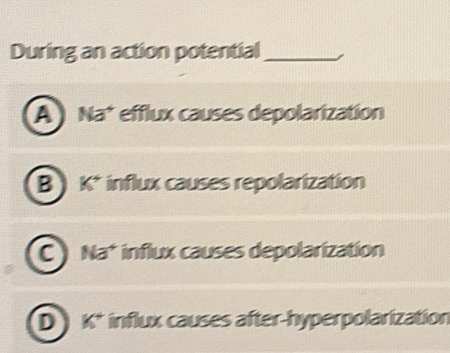 Solved: During an action potential_ A ) Na* efflux causes ...