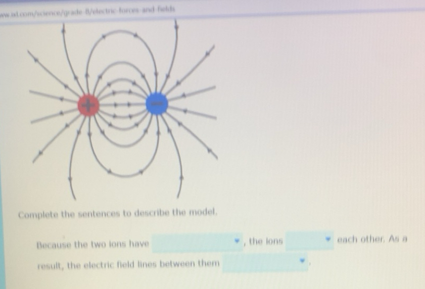 Solved: Complete the sentences to describe the model. Because the two ...