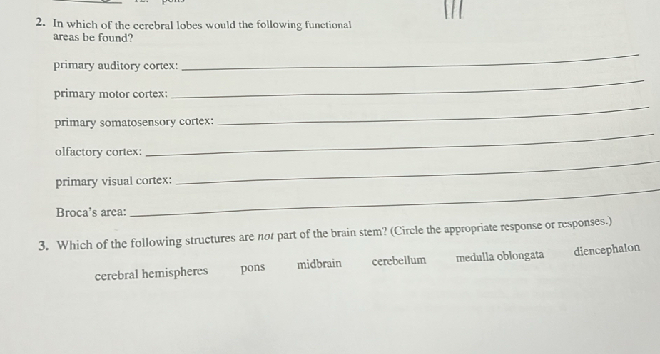 Solved: In which of the cerebral lobes would the following functional ...