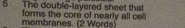 Solved: The double-layered sheet that forms the core of nearly all cell ...