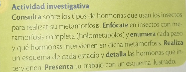 Resuelto:Actividad investigativa Consulta sobre los tipos de hormonas ...