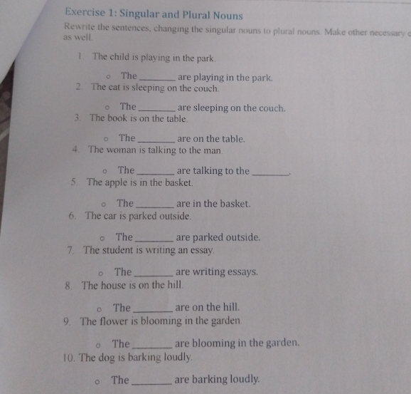 Risolto:Singular and Plural Nouns Rewrite the sentences, changing the ...