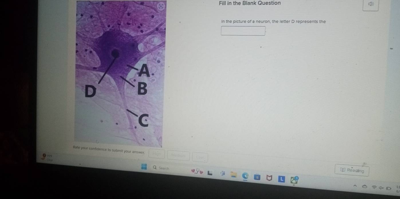 Fill in the Blank Question In the picture of a neuron, the letter D ...