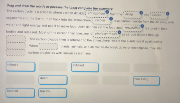 Solved: Drag and drop the words or phrases that best complete the ...