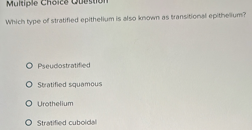 Solved: Question Which type of stratified epithelium is also known as ...