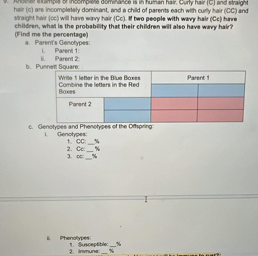 Solved: Another example of incomplete dominance is in human hair. Curly ...