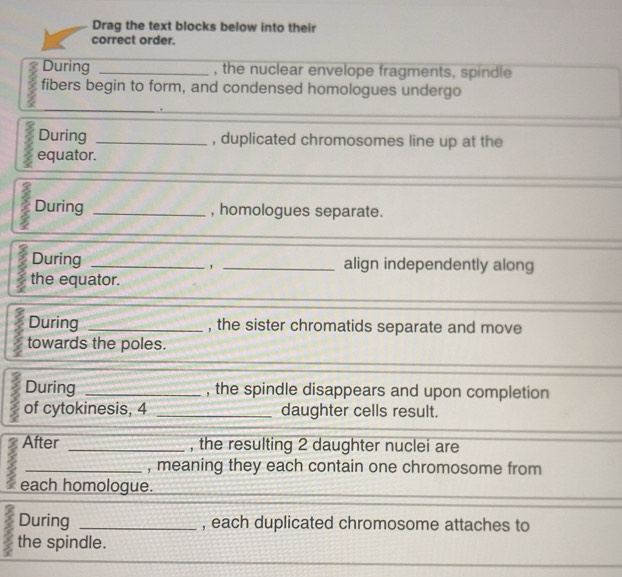 Solved: Drag the text blocks below into their correct order. During ...