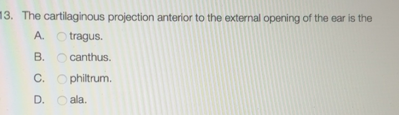 Solved: The cartilaginous projection anterior to the external opening ...