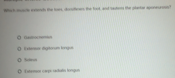 Solved: Which muscle extends the toes, dorsiflexes the foot, and ...