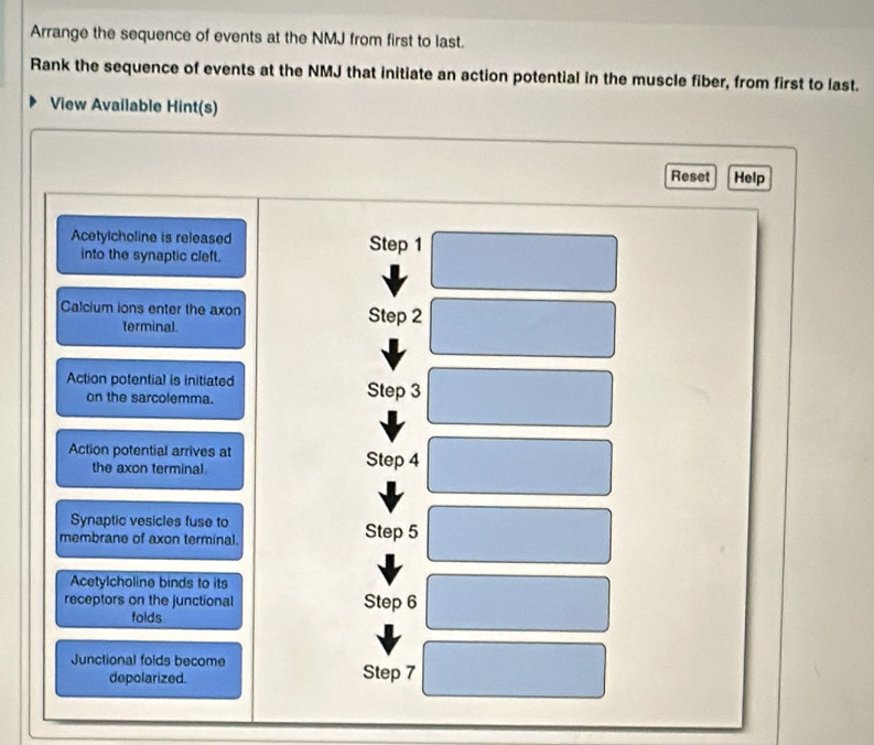 Solved: Arrange the sequence of events at the NMJ from first to last ...