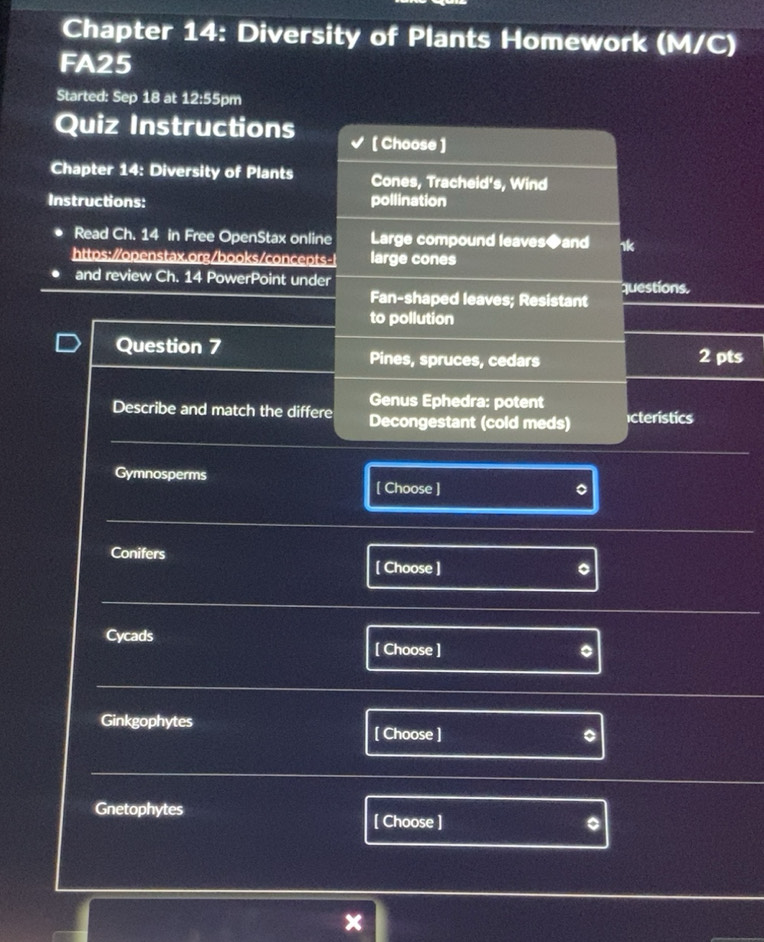 Solved: Chapter 14: Diversity of Plants Homework (M/C) FA25 Started ...
