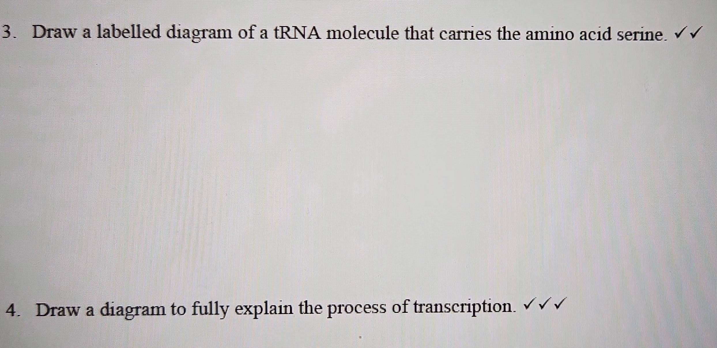 Solved: Draw a labelled diagram of a tRNA molecule that carries the ...